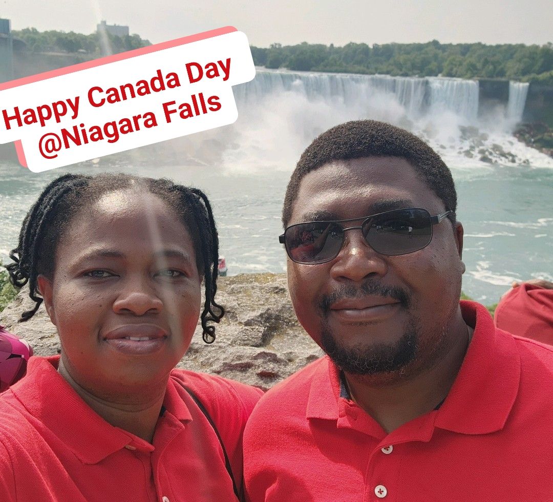 Dele Ola, Ph.D., P.Eng., PMP® posted on LinkedIn Dele Ola, Ph.D., P.Eng., PMP® posted on LinkedIn