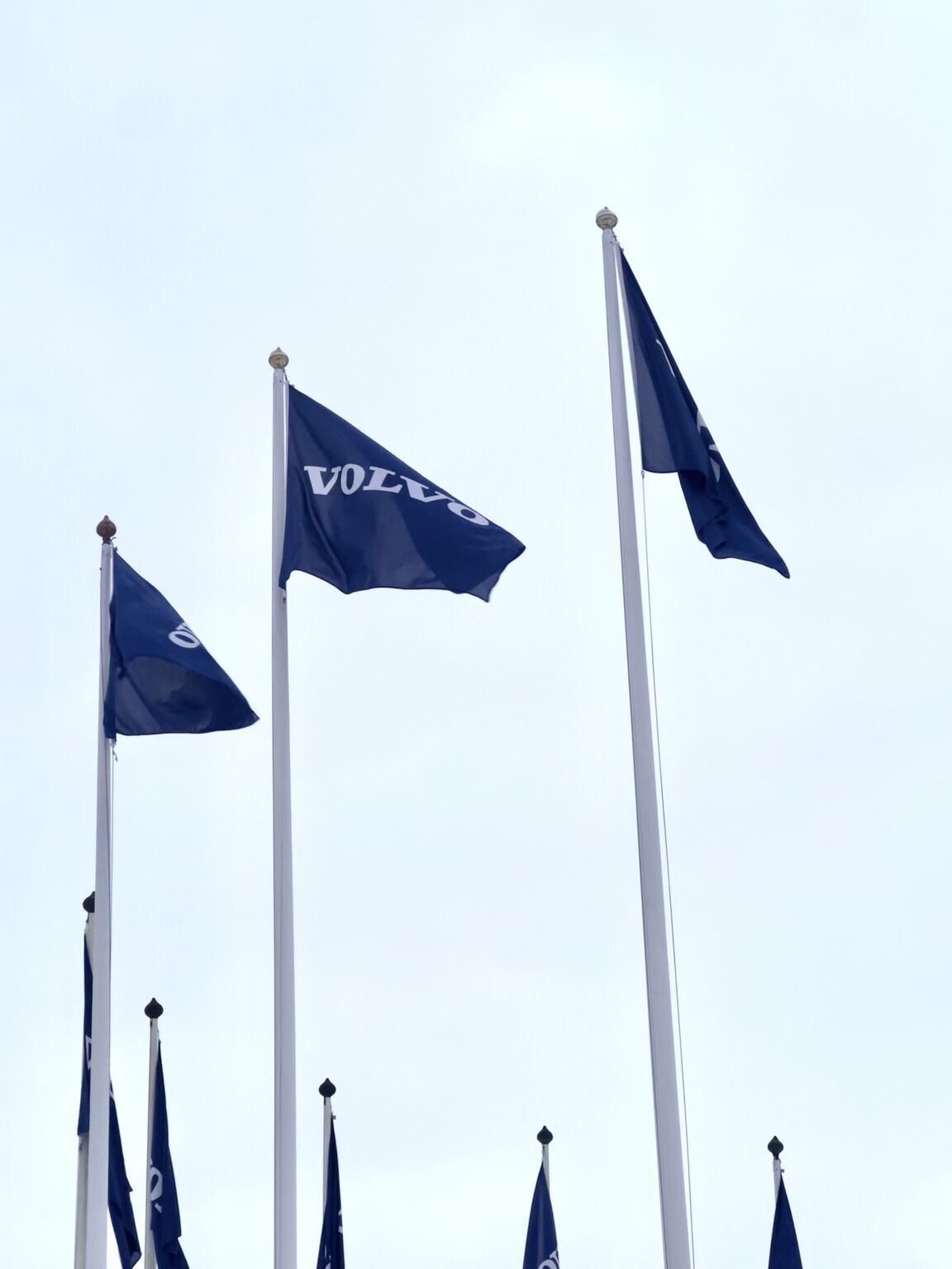 Karin Hamberg Stén on LinkedIn: #ai #generativeai #volvo #sweden Karin Hamberg Stén on LinkedIn: #ai #generativeai #volvo #sweden