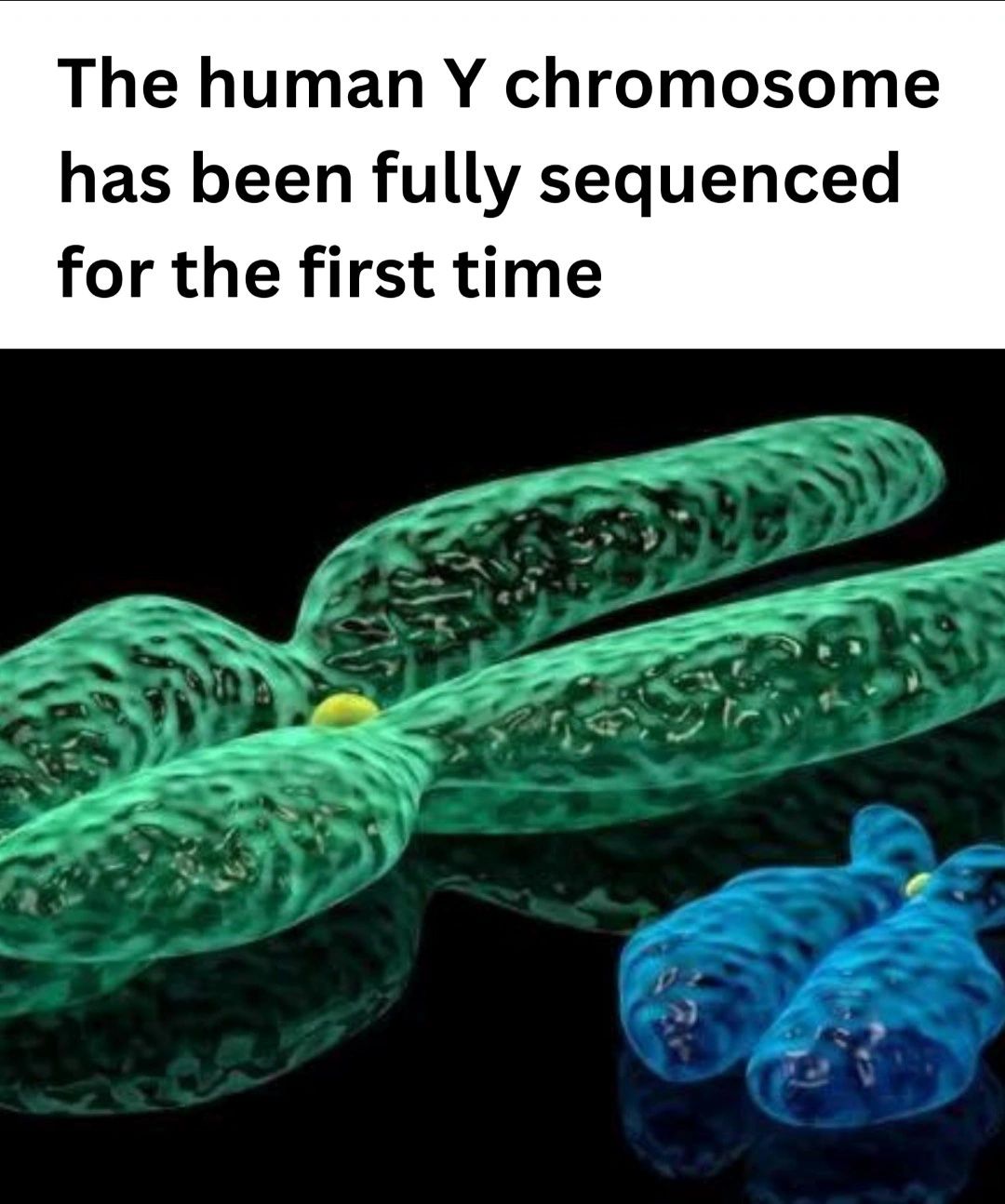 Dr. Ashish Kumar Chowdhary on LinkedIn: Exciting News Alert..🧬 Dr. Ashish Kumar Chowdhary on LinkedIn: Exciting News Alert..🧬