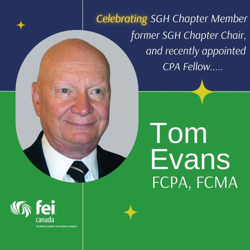 Financial Executives International (FEI) Canada, Toronto Chapter on ... Financial Executives International (FEI) Canada, Toronto Chapter on ...