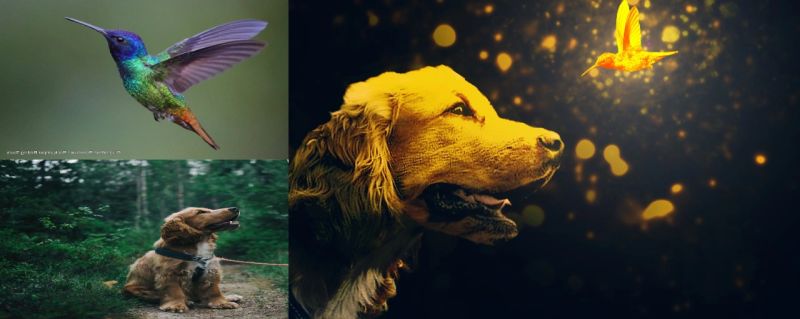 Ankit Jha on LinkedIn: PM (photo manipulation) Ankit Jha on LinkedIn: PM (photo manipulation)