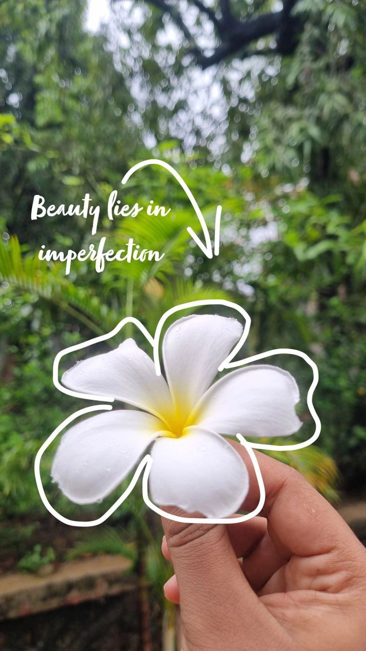 Bhavishya Ambati on LinkedIn: #authenticity #growthmindset # ... Bhavishya Ambati on LinkedIn: #authenticity #growthmindset # ...