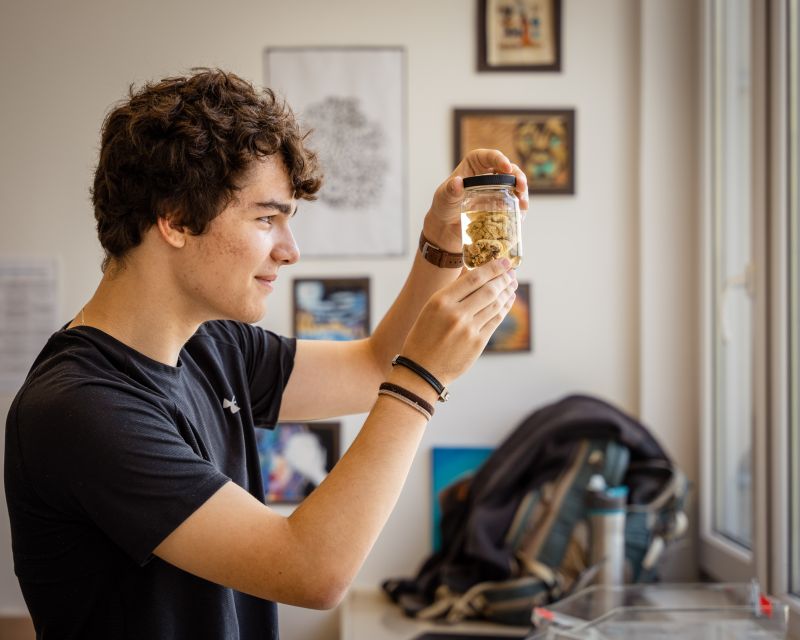 The International School of Belgrade on LinkedIn: ISB Grade 12 students ... The International School of Belgrade on LinkedIn: ISB Grade 12 students ...