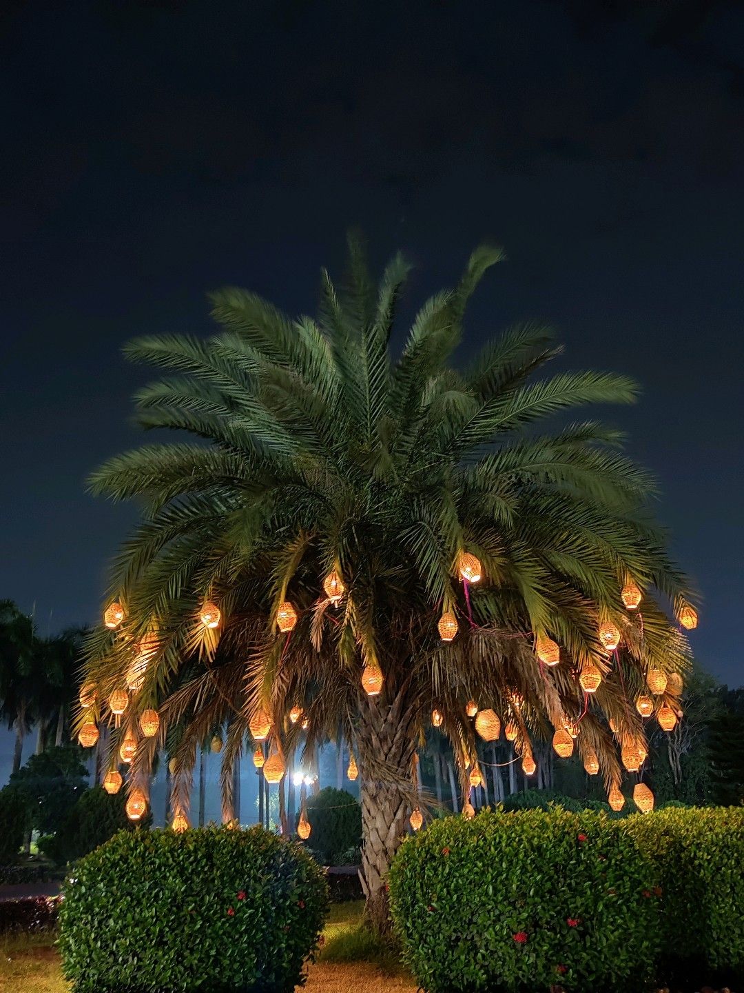 Nasib Mohammad Arif on LinkedIn: #tree #bangladesh #decore #quiz # ... Nasib Mohammad Arif on LinkedIn: #tree #bangladesh #decore #quiz # ...