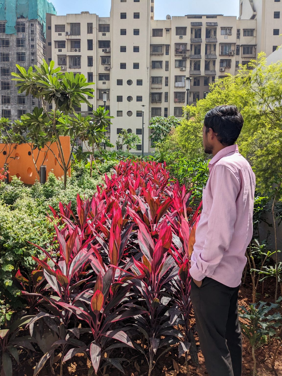 Mayur Salunkhe on LinkedIn: #landscaping #gardening Mayur Salunkhe on LinkedIn: #landscaping #gardening