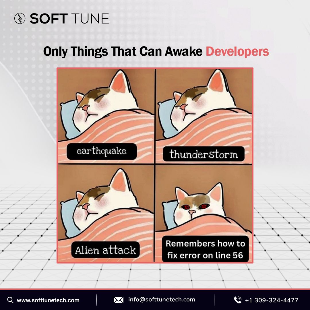 SoftTune Technologies on LinkedIn: #developerlife #programminghumor # ... SoftTune Technologies on LinkedIn: #developerlife #programminghumor # ...