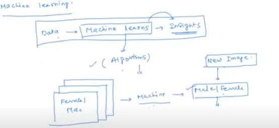 Priya Singh on LinkedIn: #python #datascience #dataloves # ... Priya Singh on LinkedIn: #python #datascience #dataloves # ...