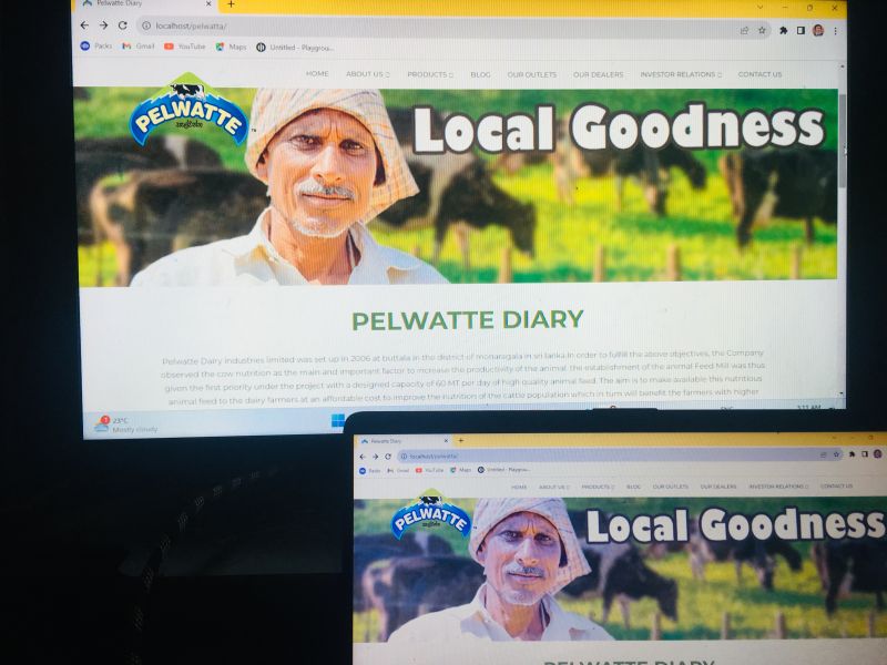 Pinsara Rathnayaka on LinkedIn: Project 2023 Java Script / php Pinsara Rathnayaka on LinkedIn: Project 2023 Java Script / php