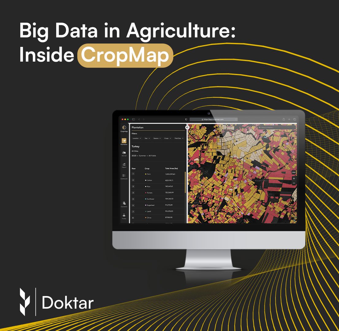 Doktar Technologies on LinkedIn: Big data transforms decision-making ... Doktar Technologies on LinkedIn: Big data transforms decision-making ...