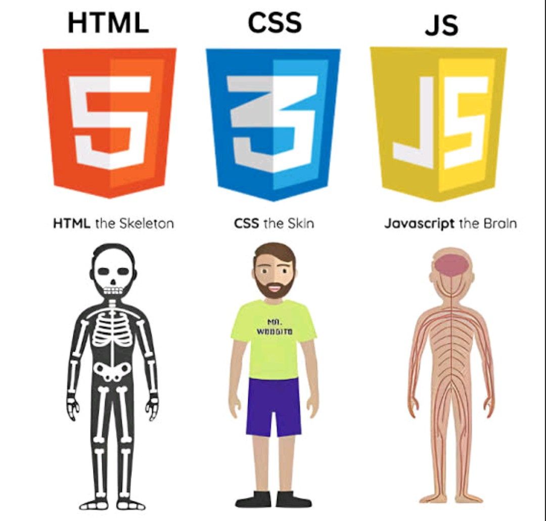 Danthanapally Sheshank on LinkedIn: Difference between HTMl,CSS and ... Danthanapally Sheshank on LinkedIn: Difference between HTMl,CSS and ...