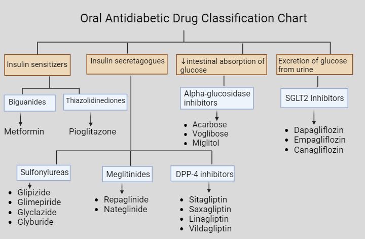 Priyanka Soni on LinkedIn: Antidiabetic Drug Classification and ... Priyanka Soni on LinkedIn: Antidiabetic Drug Classification and ...