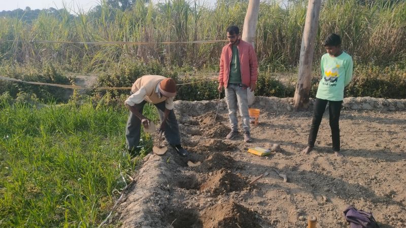 Agri Doctor Elephant foot (suran) different types sowing methods ... Agri Doctor Elephant foot (suran) different types sowing methods ...