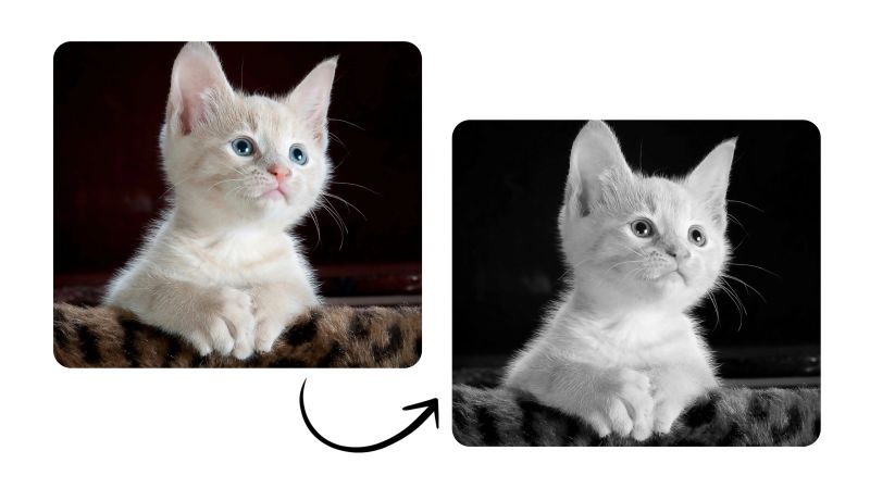Naveenkumar Arumugam on LinkedIn: #connection #python #opencv #python # ... Naveenkumar Arumugam on LinkedIn: #connection #python #opencv #python # ...