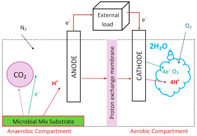 Biosensors MDPI on LinkedIn: #review #mdpi #biofuel #microbial #enzyme ... Biosensors MDPI on LinkedIn: #review #mdpi #biofuel #microbial #enzyme ...