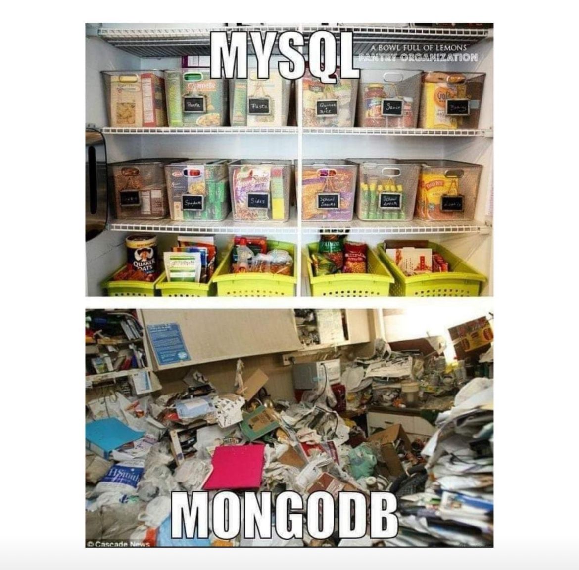 Rishav Chatterjee 🇮🇳 on LinkedIn: #memefied #learning #webdev #sql # ... Rishav Chatterjee 🇮🇳 on LinkedIn: #memefied #learning #webdev #sql # ...