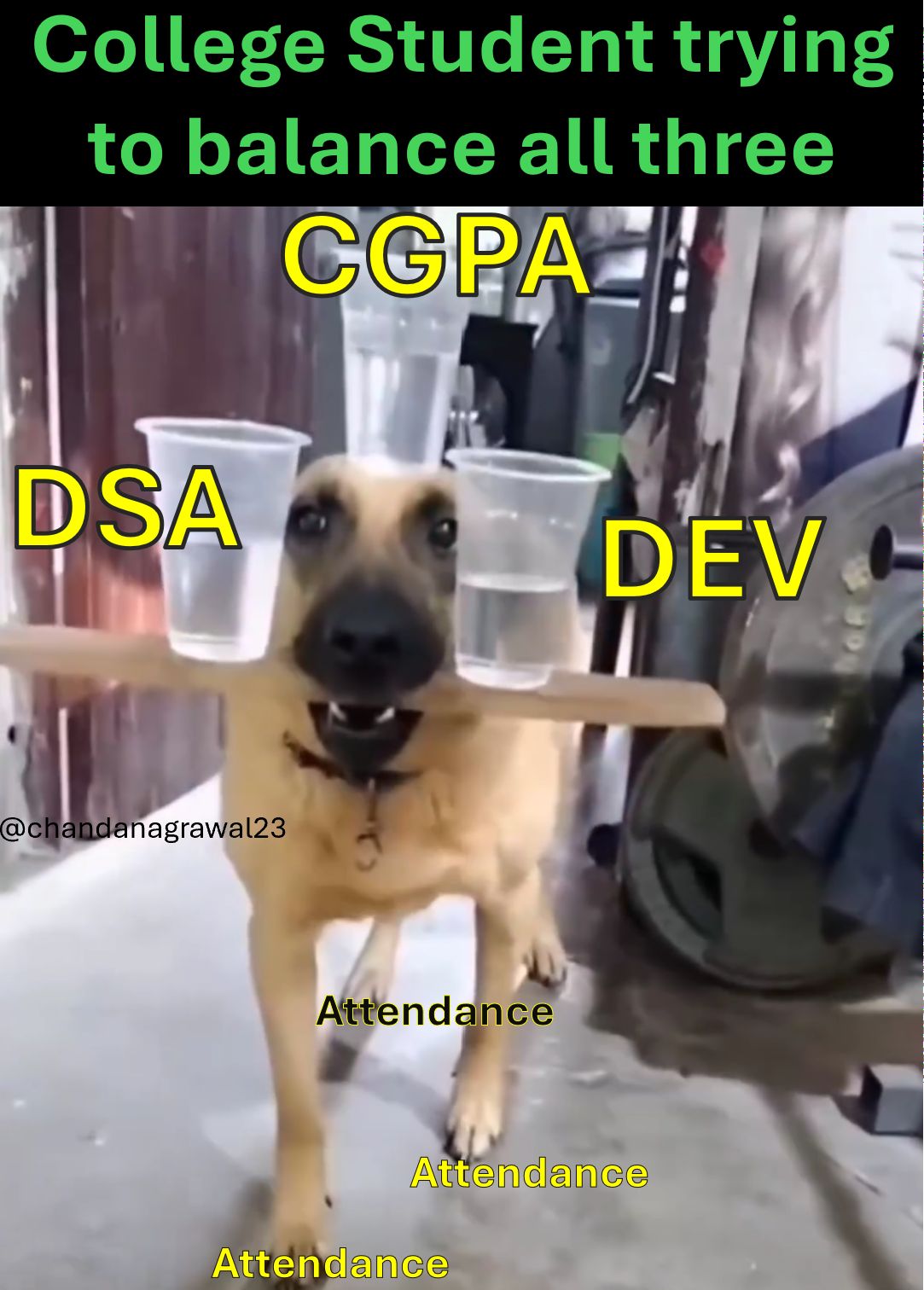 Chandan Agrawal on LinkedIn: #meme #coding #dsa #college #life #tech # ... Chandan Agrawal on LinkedIn: #meme #coding #dsa #college #life #tech # ...