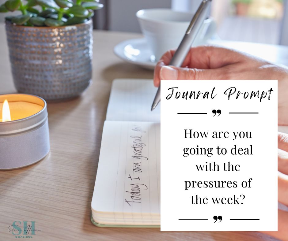 Shannon Hammon, CPC, ELI-MP, CLDS on LinkedIn: #journaling #pressure # ... Shannon Hammon, CPC, ELI-MP, CLDS on LinkedIn: #journaling #pressure # ...