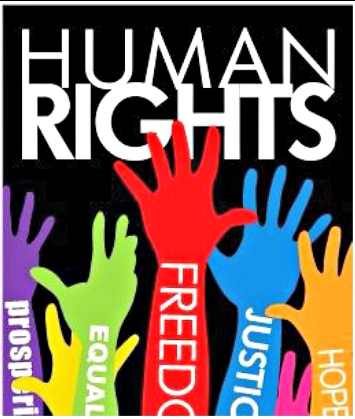 Adel BEN YOUSSEF on LinkedIn: Human Rights Day! Adel BEN YOUSSEF on LinkedIn: Human Rights Day!