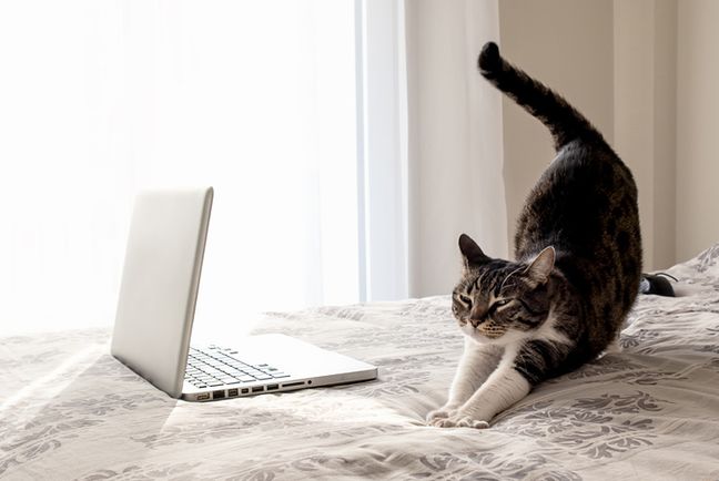 Prasad Hande on LinkedIn: #wfh #fitness #lifestyle #routine Prasad Hande on LinkedIn: #wfh #fitness #lifestyle #routine