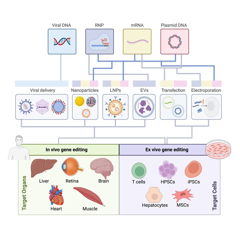 Xiaochun (Sean) Chen, Ph.D., RAC on LinkedIn: “To improve precision ... Xiaochun (Sean) Chen, Ph.D., RAC on LinkedIn: “To improve precision ...