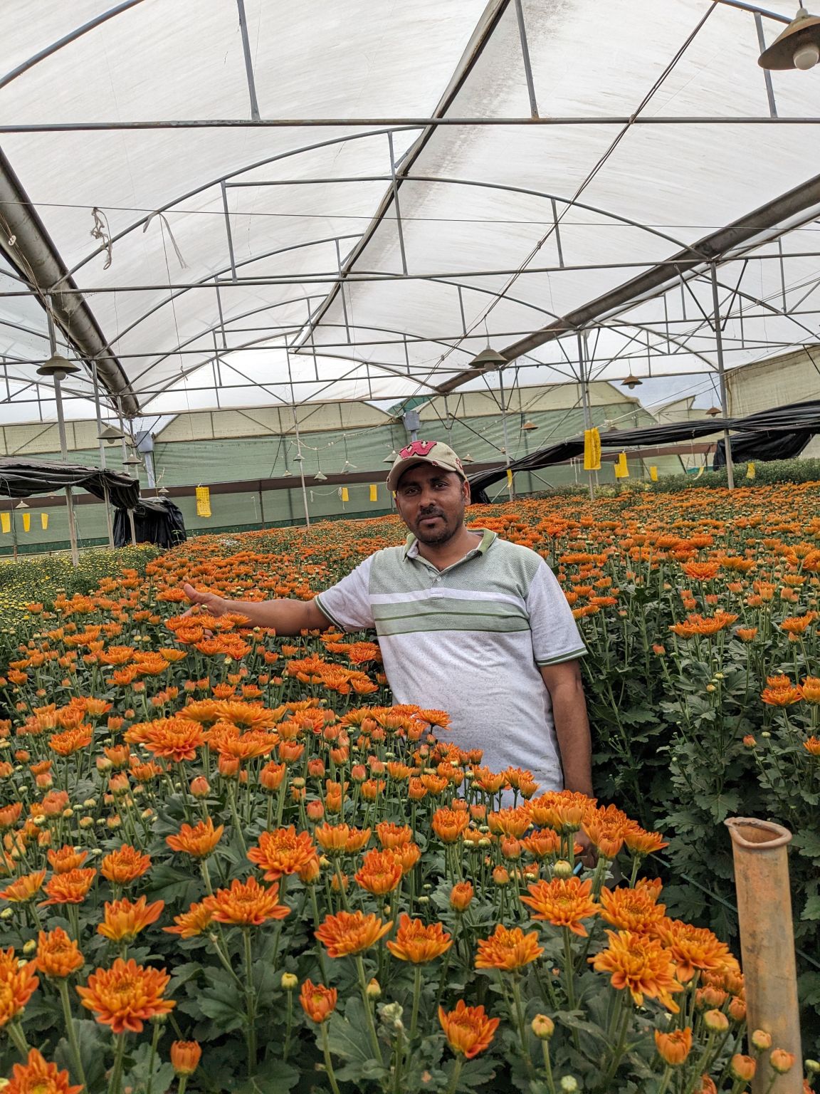 shaik mahammad nurulla posted on LinkedIn shaik mahammad nurulla posted on LinkedIn