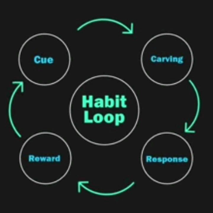 Habit Cycle | Ajinkya Chirde Habit Cycle | Ajinkya Chirde