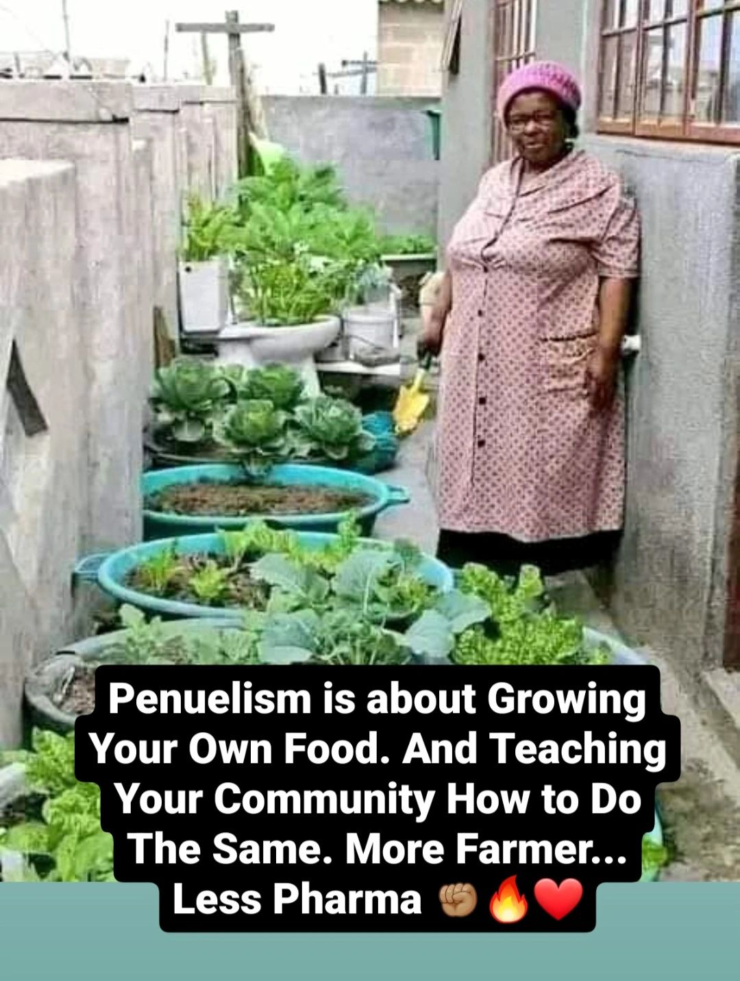 Penuel Mlotshwa on LinkedIn: Penuelism is about Growing Your Own Food ... Penuel Mlotshwa on LinkedIn: Penuelism is about Growing Your Own Food ...