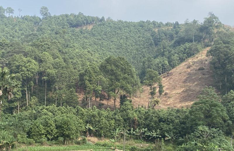 Christian Kull on LinkedIn: Last week’s workshop we hosted on Forest ... Christian Kull on LinkedIn: Last week’s workshop we hosted on Forest ...