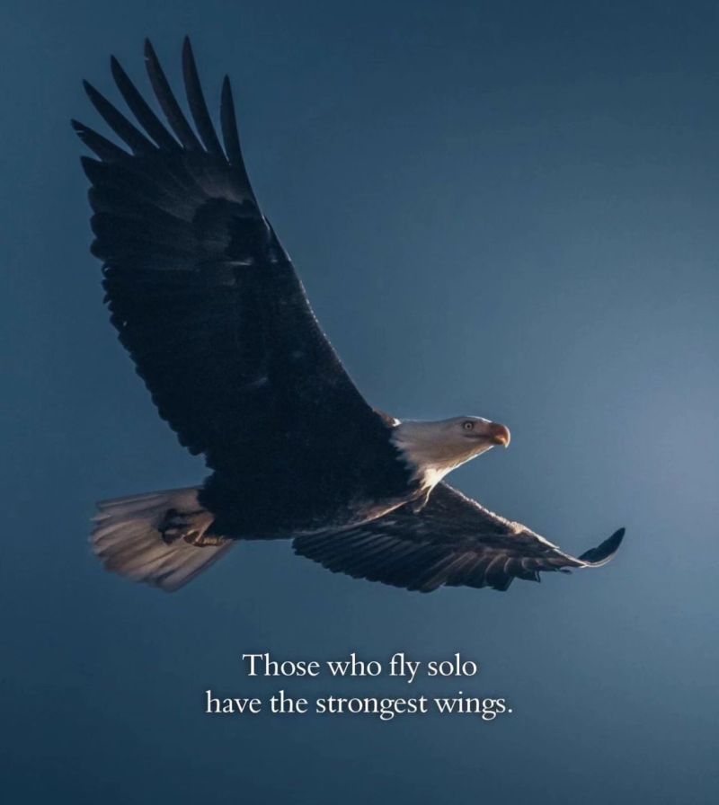Prof. Bholanath Dutta on LinkedIn: Work in silence , let your success ... Prof. Bholanath Dutta on LinkedIn: Work in silence , let your success ...
