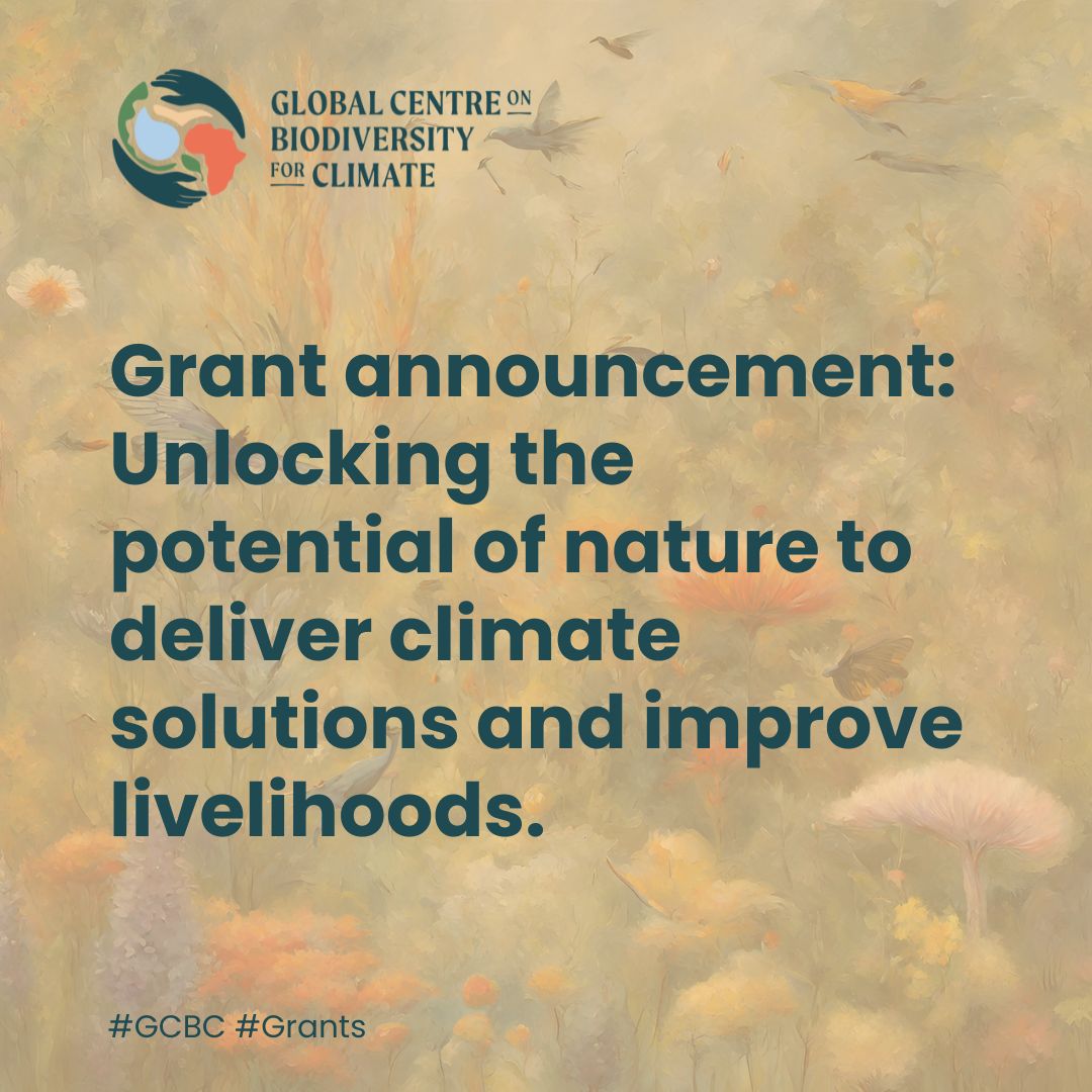 Exciting news for GCBC! | Elise Rohan Exciting news for GCBC! | Elise Rohan