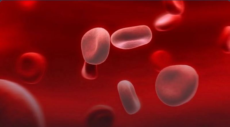 Assistant Prof Dr Anwar Noor on LinkedIn: SGLT2 Inhibitors Show Promise ... Assistant Prof Dr Anwar Noor on LinkedIn: SGLT2 Inhibitors Show Promise ...