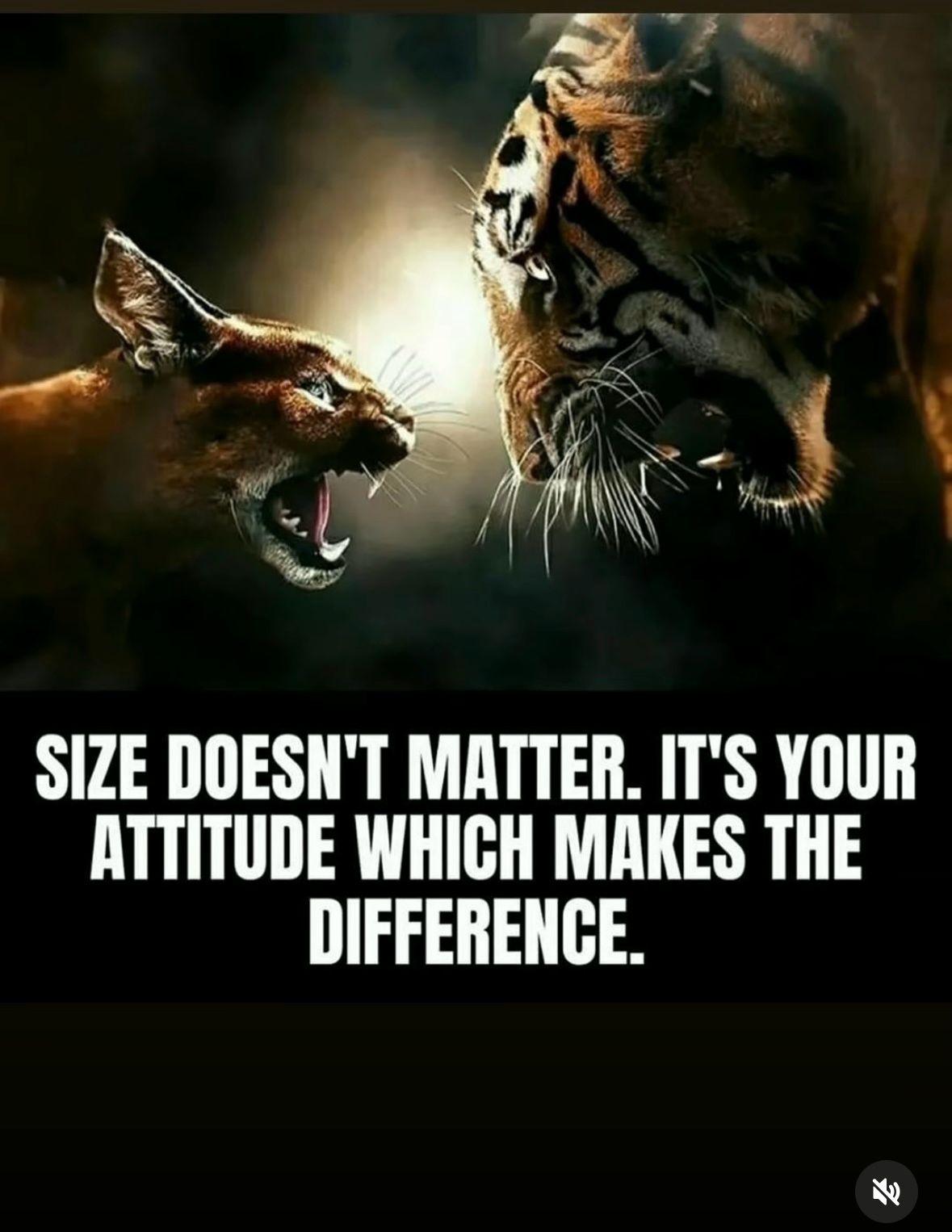 Shannon Cox on LinkedIn: A positive attitude makes all the difference ... Shannon Cox on LinkedIn: A positive attitude makes all the difference ...