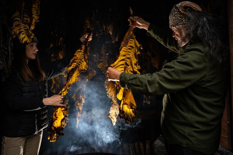Salwan Georges on LinkedIn: Alaska’s newest gold rush: Seaweed Salwan Georges on LinkedIn: Alaska’s newest gold rush: Seaweed
