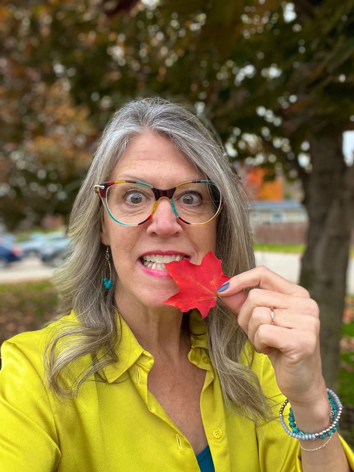 Presenting to caregivers about humor | Lisa David Olson posted on the ... Presenting to caregivers about humor | Lisa David Olson posted on the ...
