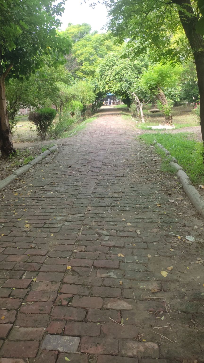 UET Lahore on LinkedIn: P.C: Muhammad Usman Follow the UET LAHORE ... UET Lahore on LinkedIn: P.C: Muhammad Usman Follow the UET LAHORE ...