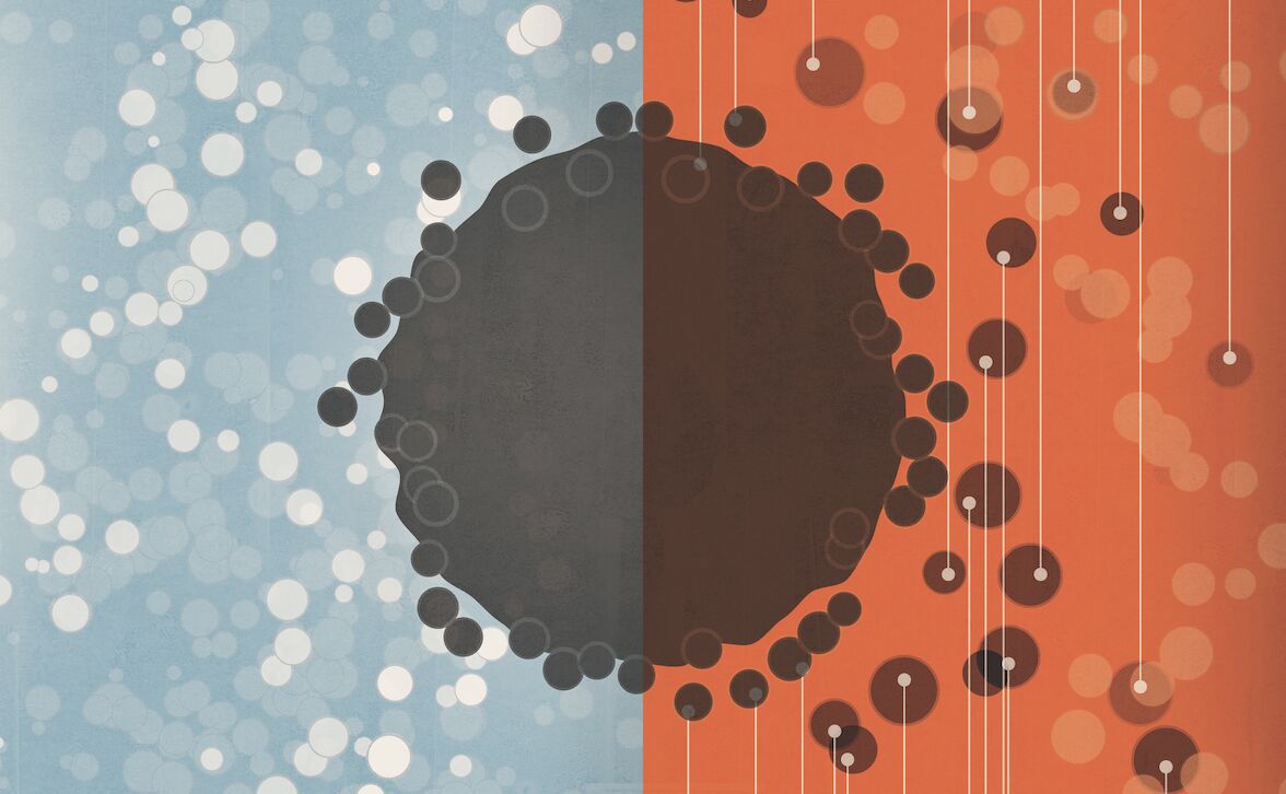 Omics Bootcamp India on LinkedIn: “Spatial transcriptomics is a new ... Omics Bootcamp India on LinkedIn: “Spatial transcriptomics is a new ...