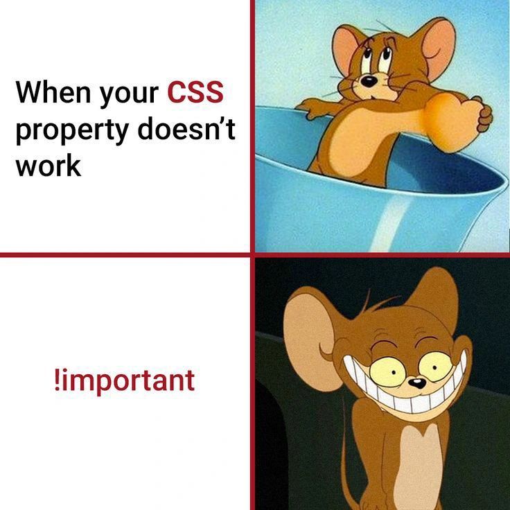 !๐ถ๐บ๐ฝ๐ผ๐ฟ๐๐ฎ๐ป๐ ๐ฟ๐๐น๐ฒ ๐ถ๐ป ๐๐ฆ๐ฆ The !important rule in CSS givesโฆ | Prasanya ... !๐ถ๐บ๐ฝ๐ผ๐ฟ๐๐ฎ๐ป๐ ๐ฟ๐๐น๐ฒ ๐ถ๐ป ๐๐ฆ๐ฆ The !important rule in CSS givesโฆ | Prasanya ...