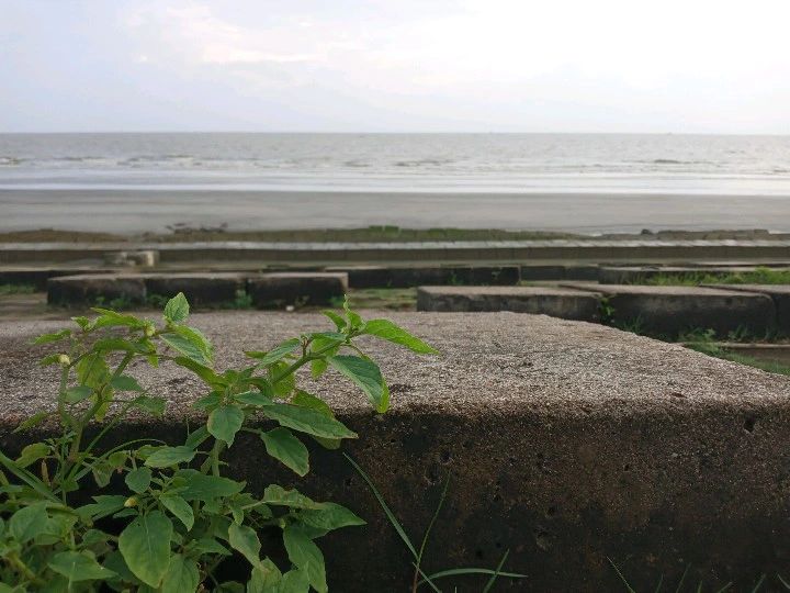 Farhad Hossain on LinkedIn: kuakata beach 🏖️ Farhad Hossain on LinkedIn: kuakata beach 🏖️