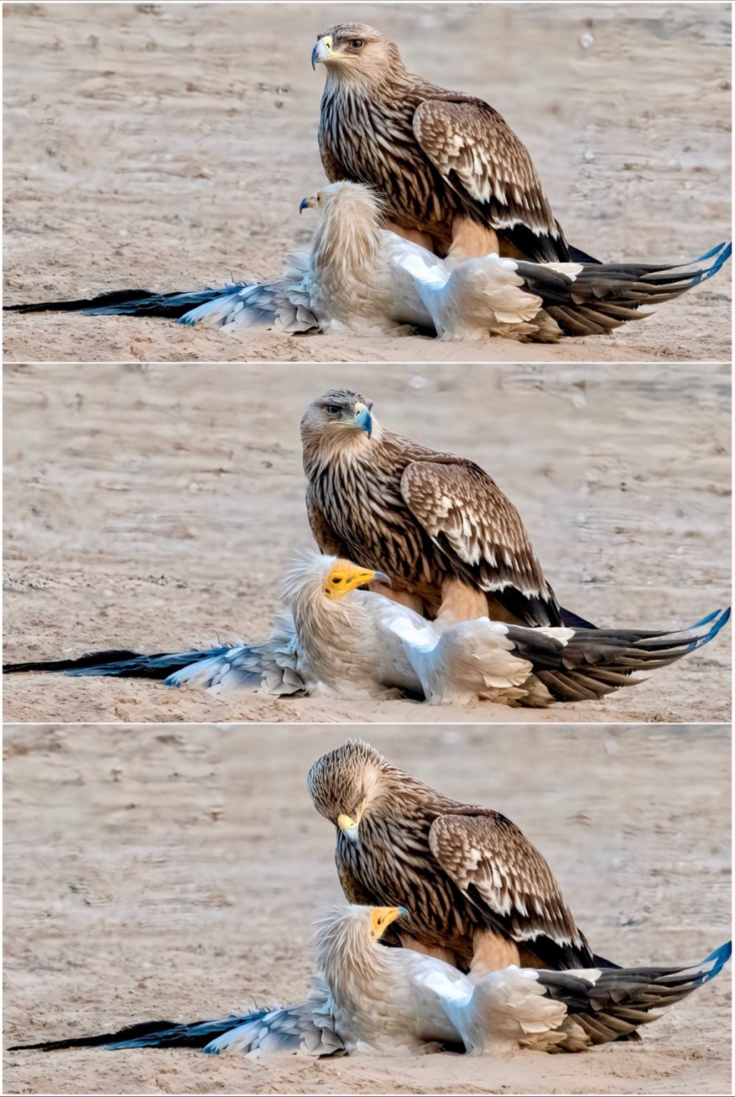 Dhiraj Singh on LinkedIn: #problemsolving #courage #challenge #learning ... Dhiraj Singh on LinkedIn: #problemsolving #courage #challenge #learning ...