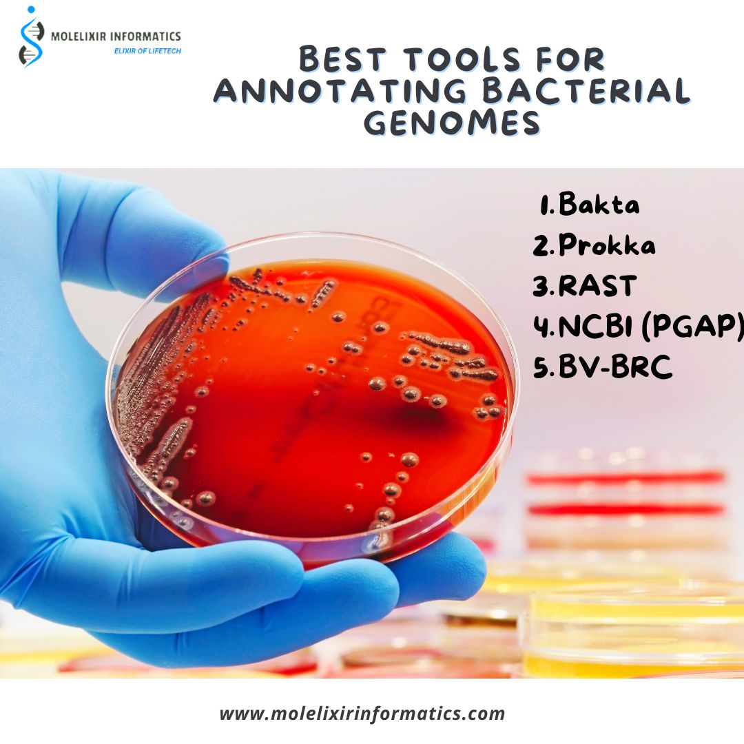 Molelixir Informatics on LinkedIn: #bioinformatics #biotech #biology # ... Molelixir Informatics on LinkedIn: #bioinformatics #biotech #biology # ...