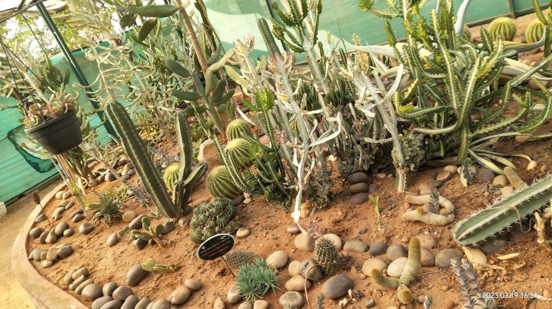 Rahul kumar Yadav on LinkedIn: Botanical Rahul kumar Yadav on LinkedIn: Botanical