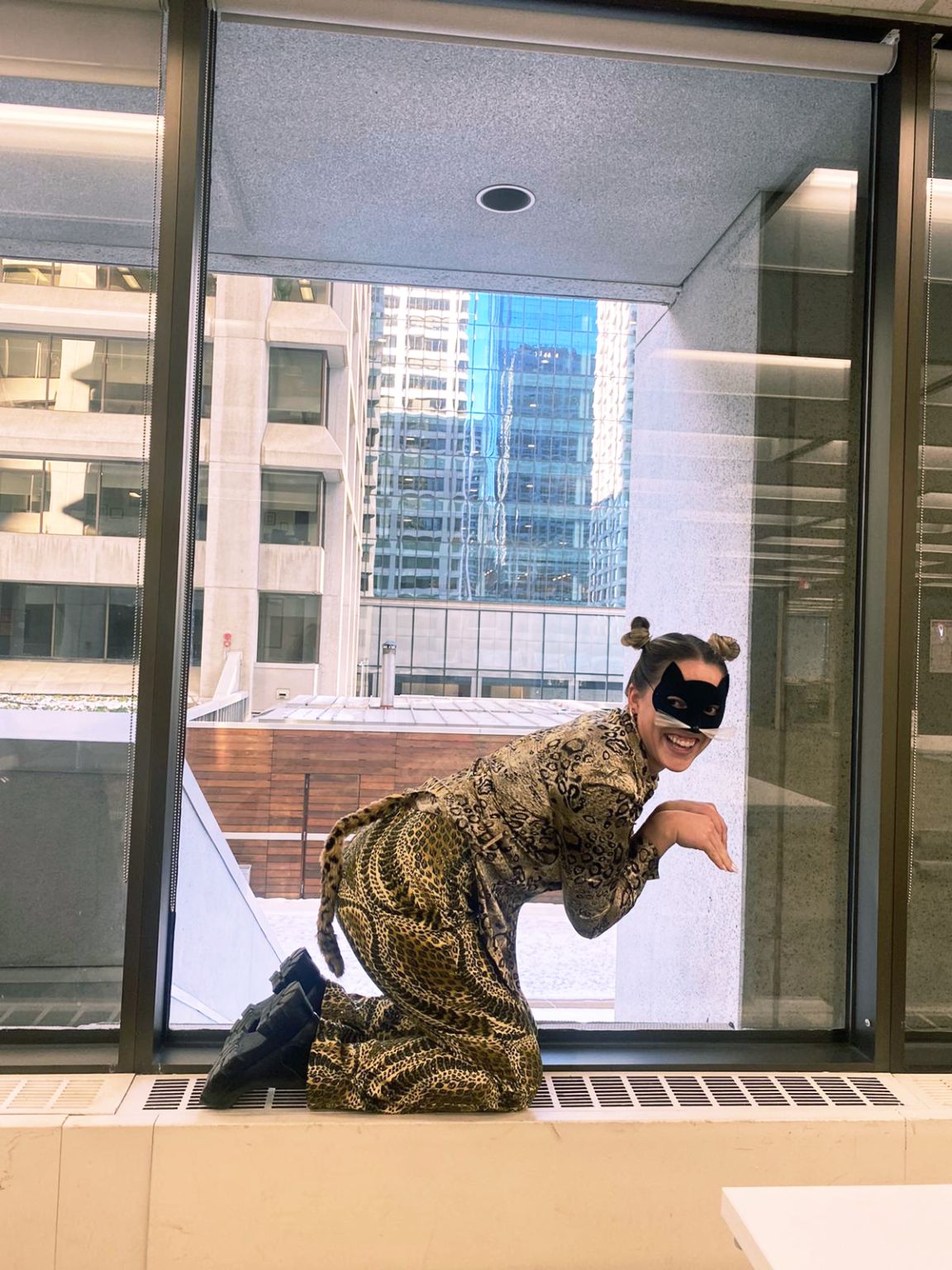 Madison Charney 🐶 on LinkedIn: #meow Madison Charney 🐶 on LinkedIn: #meow