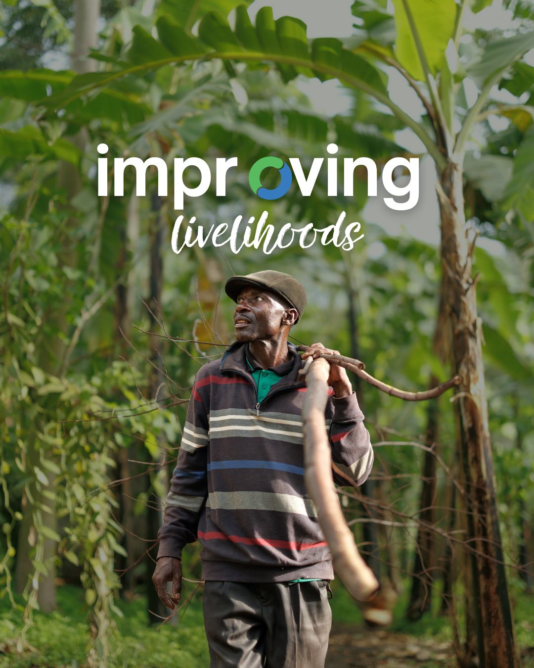 How FMNR restores lands and livelihoods | Global EverGreening Alliance ... How FMNR restores lands and livelihoods | Global EverGreening Alliance ...