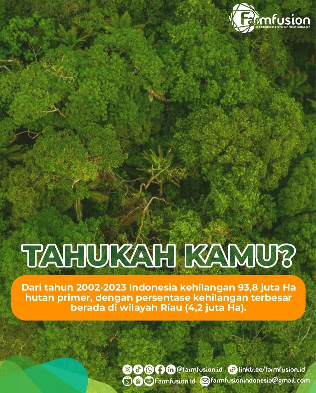 Farmfusion.id on LinkedIn: Yuk, bantu jaga hutan kita agar tetap ... Farmfusion.id on LinkedIn: Yuk, bantu jaga hutan kita agar tetap ...