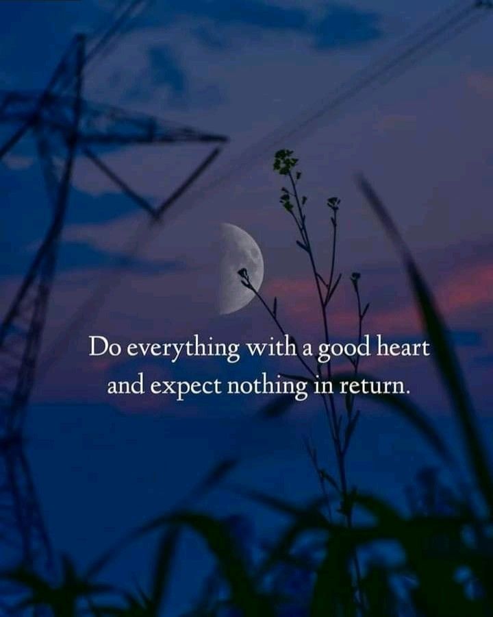 Harsha Wijepala on LinkedIn: Truequotesoflife🙏 ️ 💯 Harsha Wijepala on LinkedIn: Truequotesoflife🙏 ️ 💯