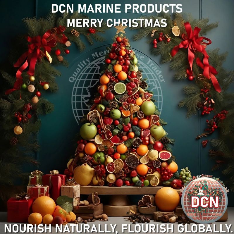 DCN Marine Products Pvt Ltd on LinkedIn: May the magic of Christmas ... DCN Marine Products Pvt Ltd on LinkedIn: May the magic of Christmas ...
