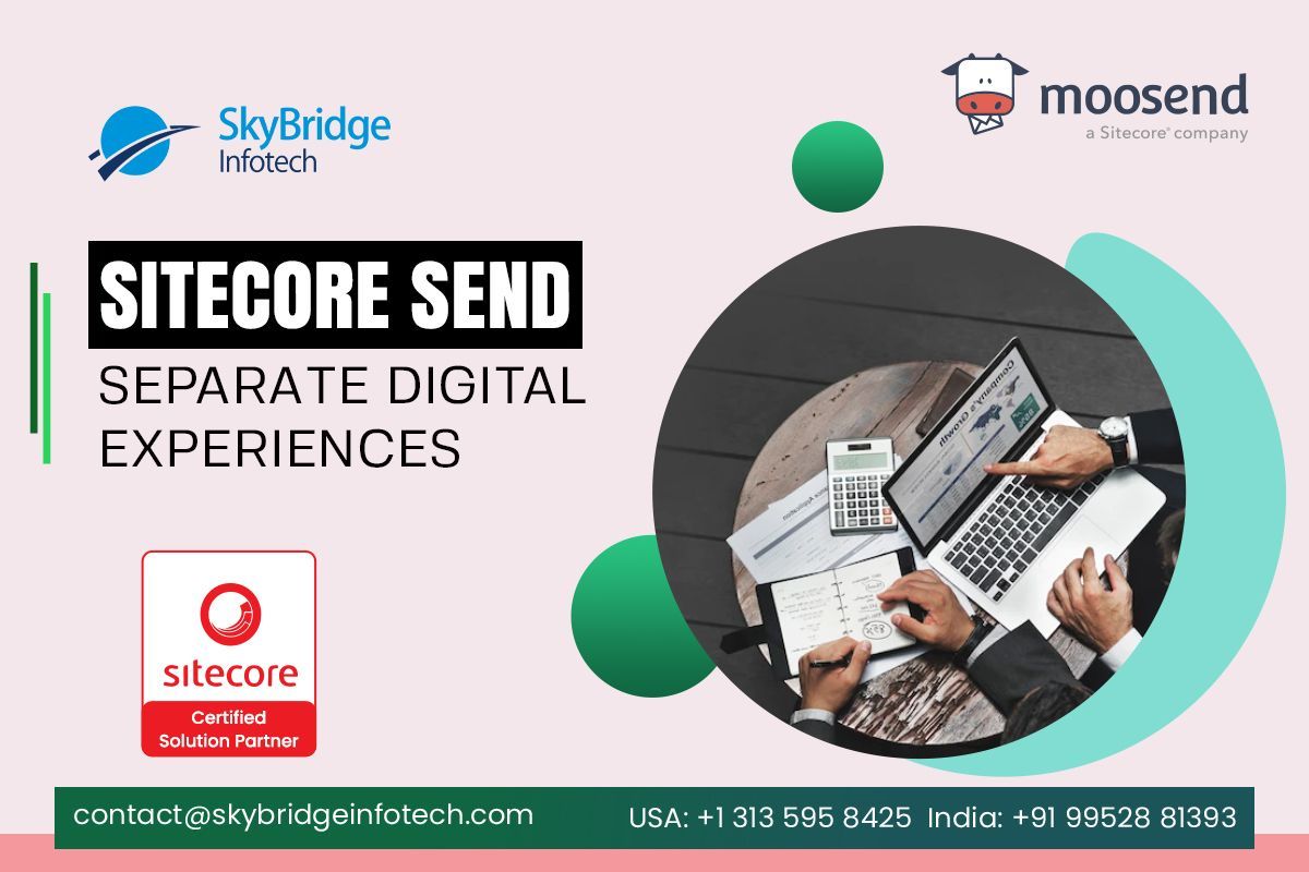 Skybridge Infotech - Sitecore | Salesforce | AI | Data Science ... Skybridge Infotech - Sitecore | Salesforce | AI | Data Science ...
