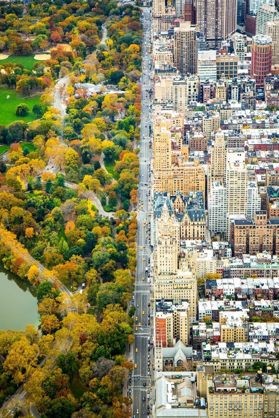 Meri Nova on LinkedIn: Stochastic Algorithms vs Deterministic ... Meri Nova on LinkedIn: Stochastic Algorithms vs Deterministic ...