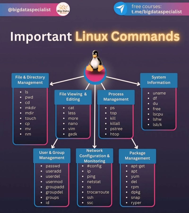 Er. Faizan Usmani on LinkedIn: 馃殌 Boost Your Linux Productivity with ... Er. Faizan Usmani on LinkedIn: 馃殌 Boost Your Linux Productivity with ...