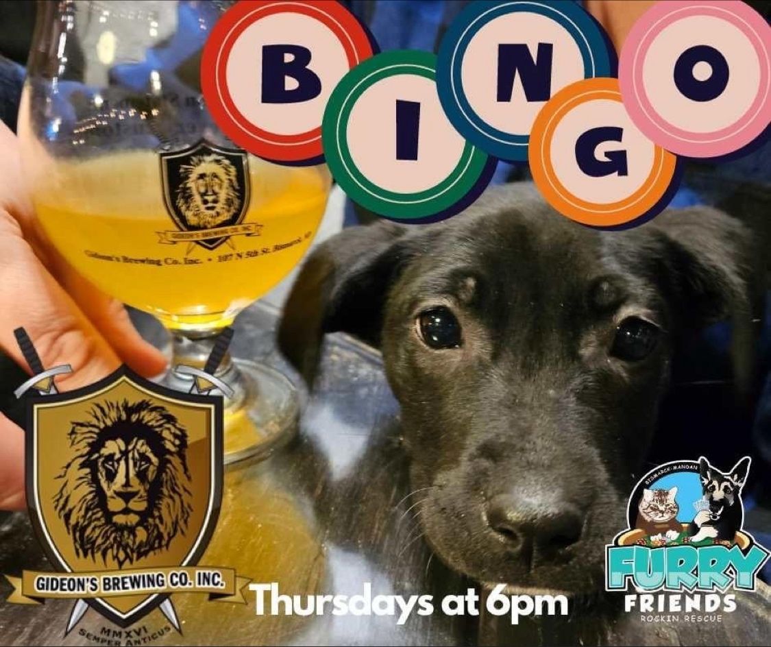Furry Friends BINGO at Gideon’s this Thursday, action starts at 6pm ... Furry Friends BINGO at Gideon’s this Thursday, action starts at 6pm ...
